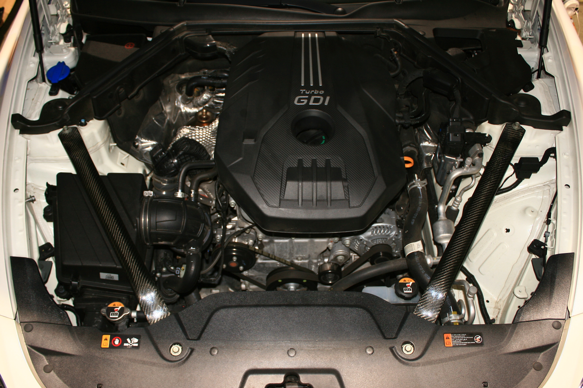 Seoulest Carbon Fiber Engine Strut Brace – Tork Motorsports